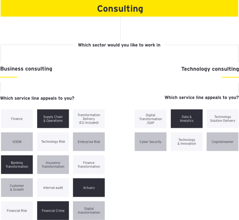 Consulting - EY Careers
