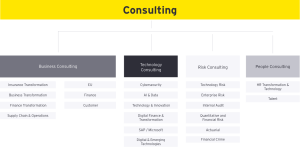 Consulting - EY Careers