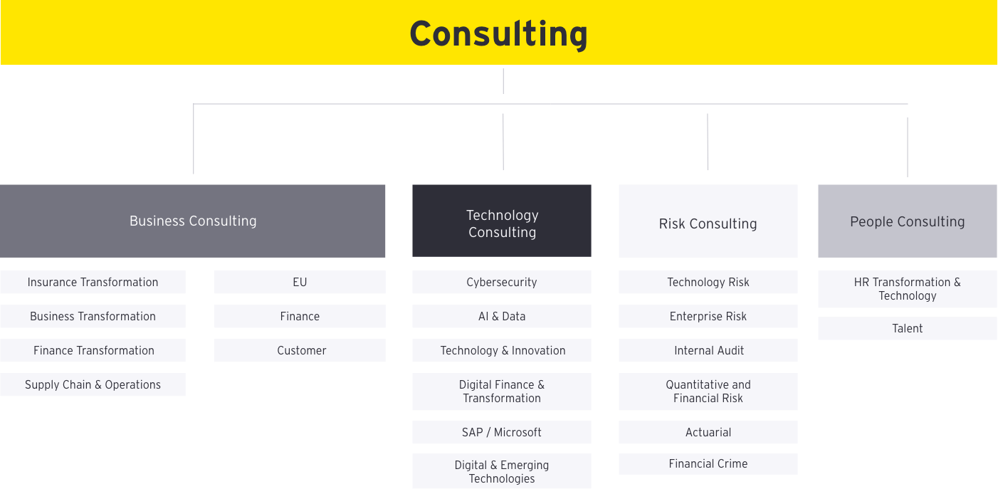 Consulting - EY Careers