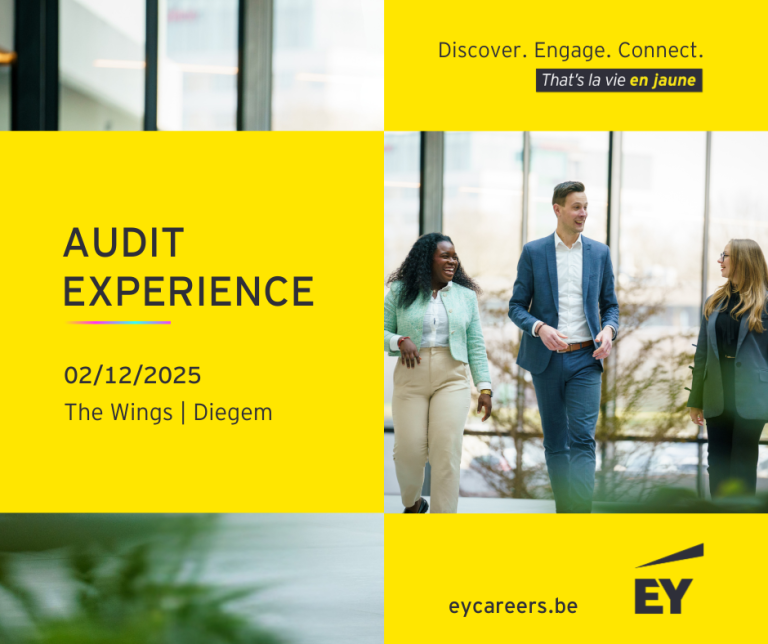 Audit Experience - EY Careers